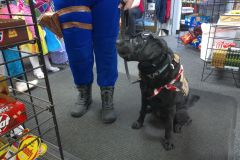 Castle Perilous Games - Games and Comic Books in Southern Illinois